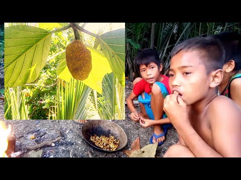 Eating Fried Tipolo Seed// Simple life of children in the province ...