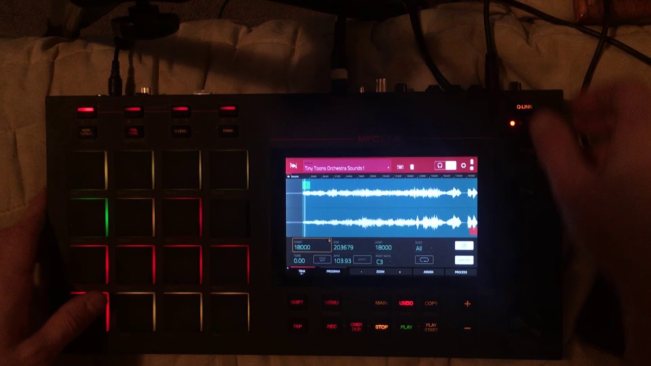 How to Chop Samples on Akai MPC LIVE - Tiny Toons Sample (PART 1) - YouTube