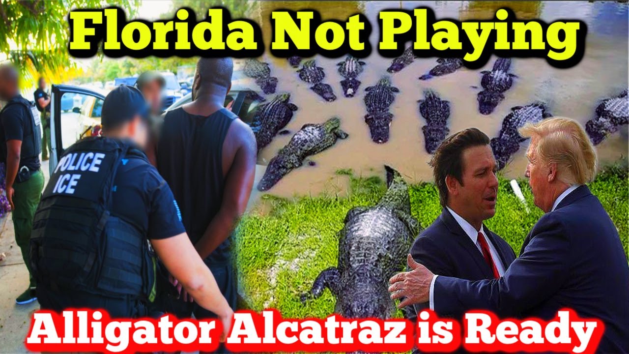 Alligator Alcatraz Ready to Detain and Deport Good Luck Escaping - YouTube
