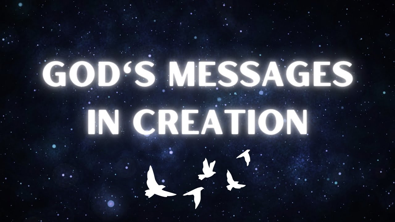 💌 Heavenly Insights: God's Messages in Creation ️ Angels Message 1111 # ...