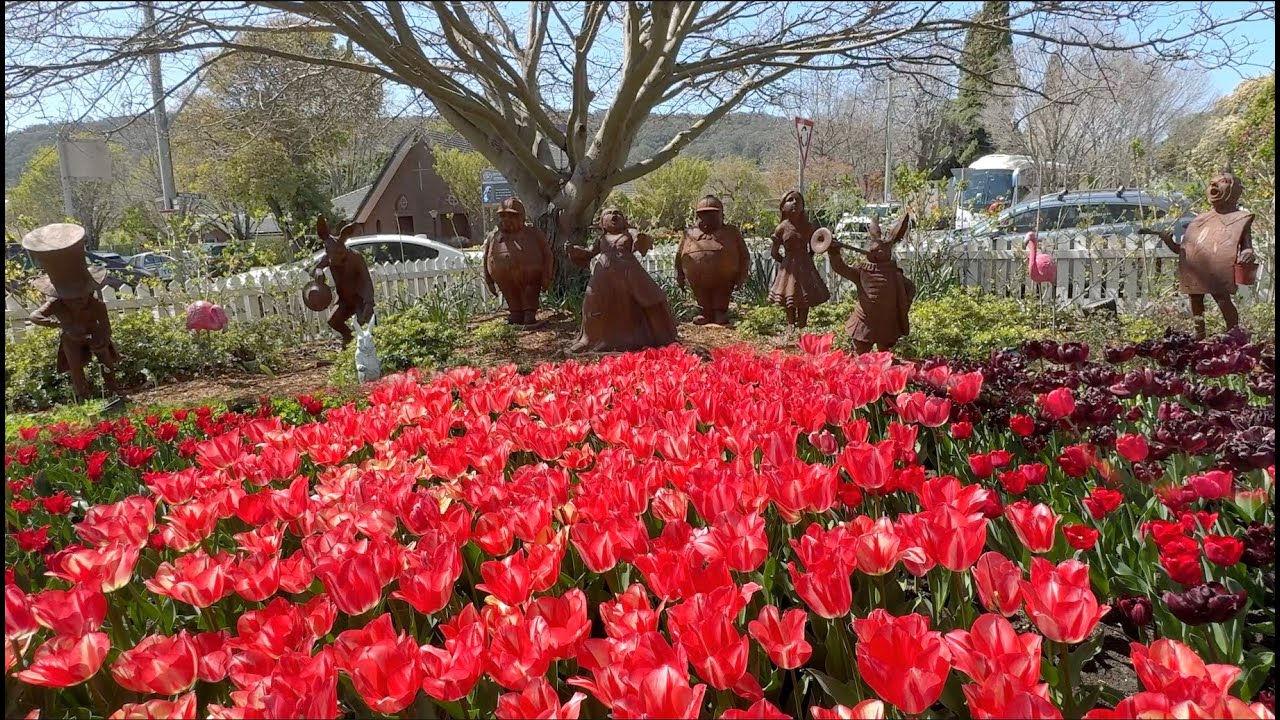 Tulip Festival Corbett Gardens Bowral - YouTube
