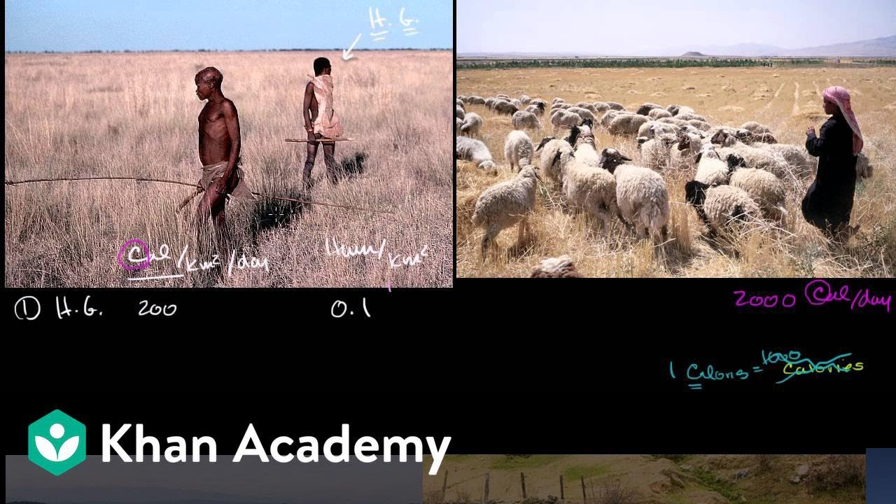 Land productivity limiting human population | Cosmology & Astronomy ...