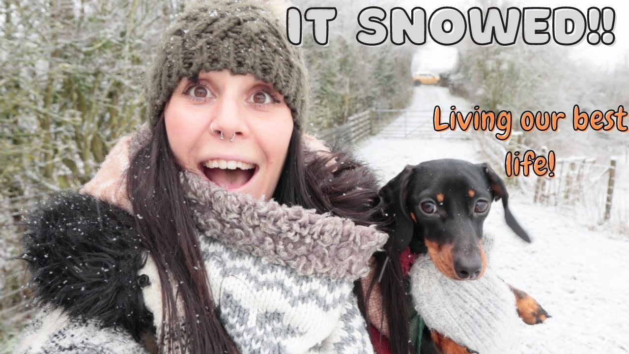 Day in my life snow day with dogs - YouTube