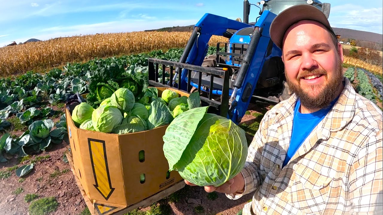 A great day for farming - YouTube