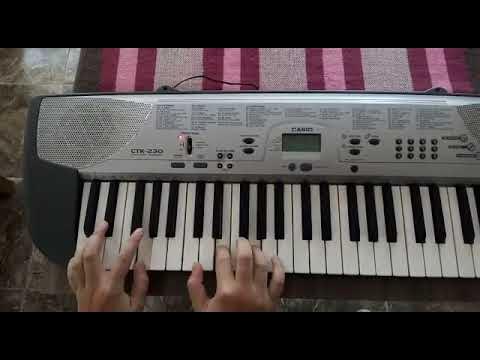 Teclado Casio CTK-230 - YouTube