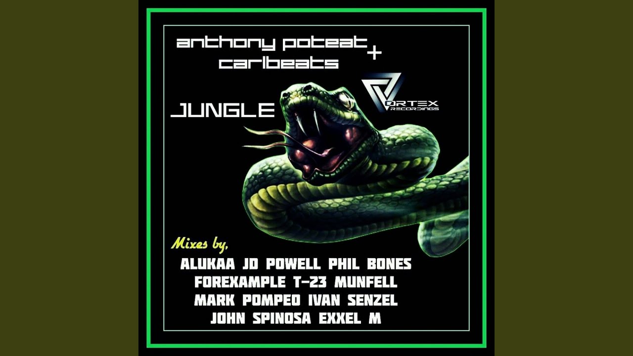 Jungle (Mike Stein & Mark Pompeo Remix) - YouTube