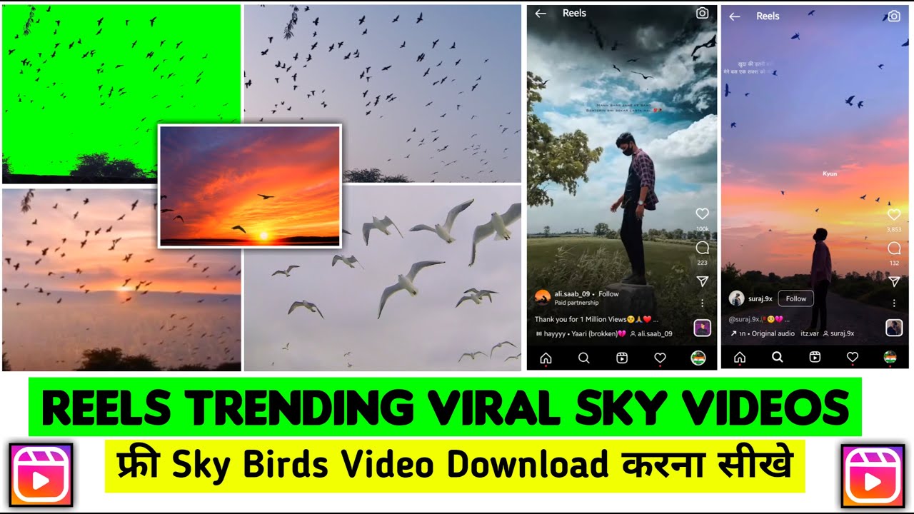 Instagram Reels Viral Sky Video Download || Birds Png Video Download ...
