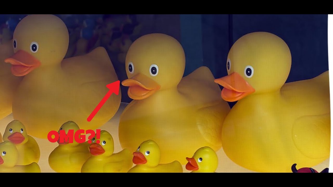 The scariest duck ever- google earth #shorts - YouTube