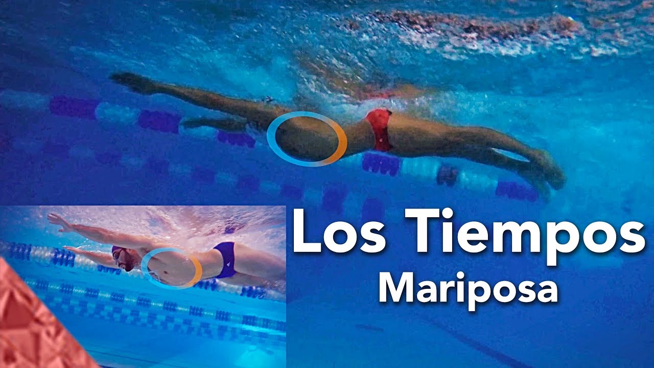 Los tiempos en el estilo de mariposa Tecnica de principiantes - YouTube