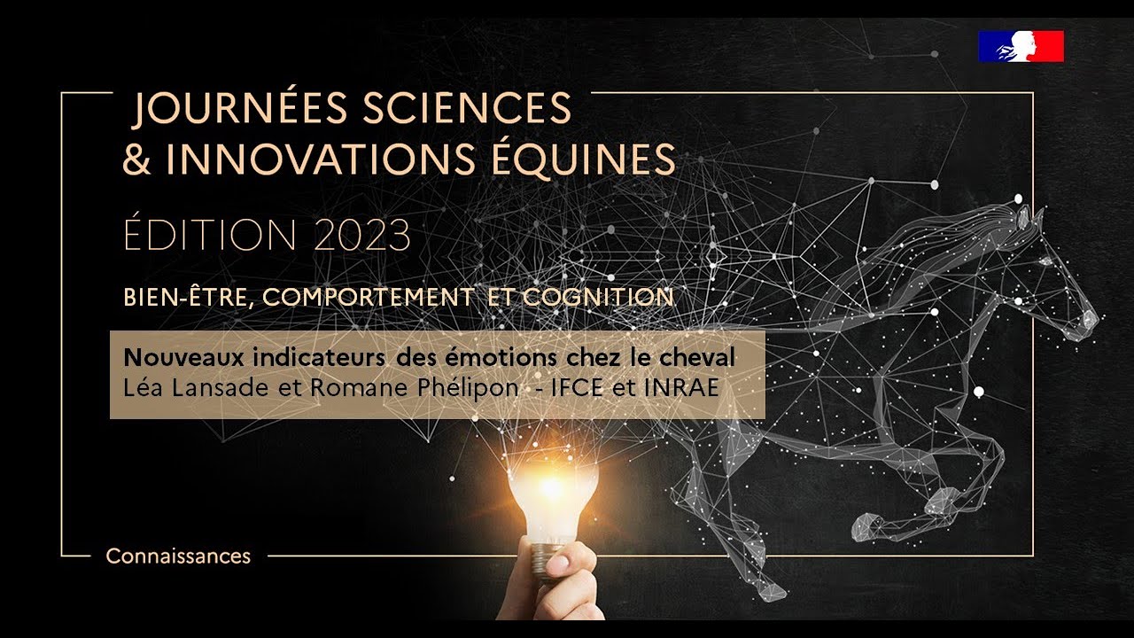 Nouveaux indicateurs des émotions chez le cheval - Léa Lansade et ...