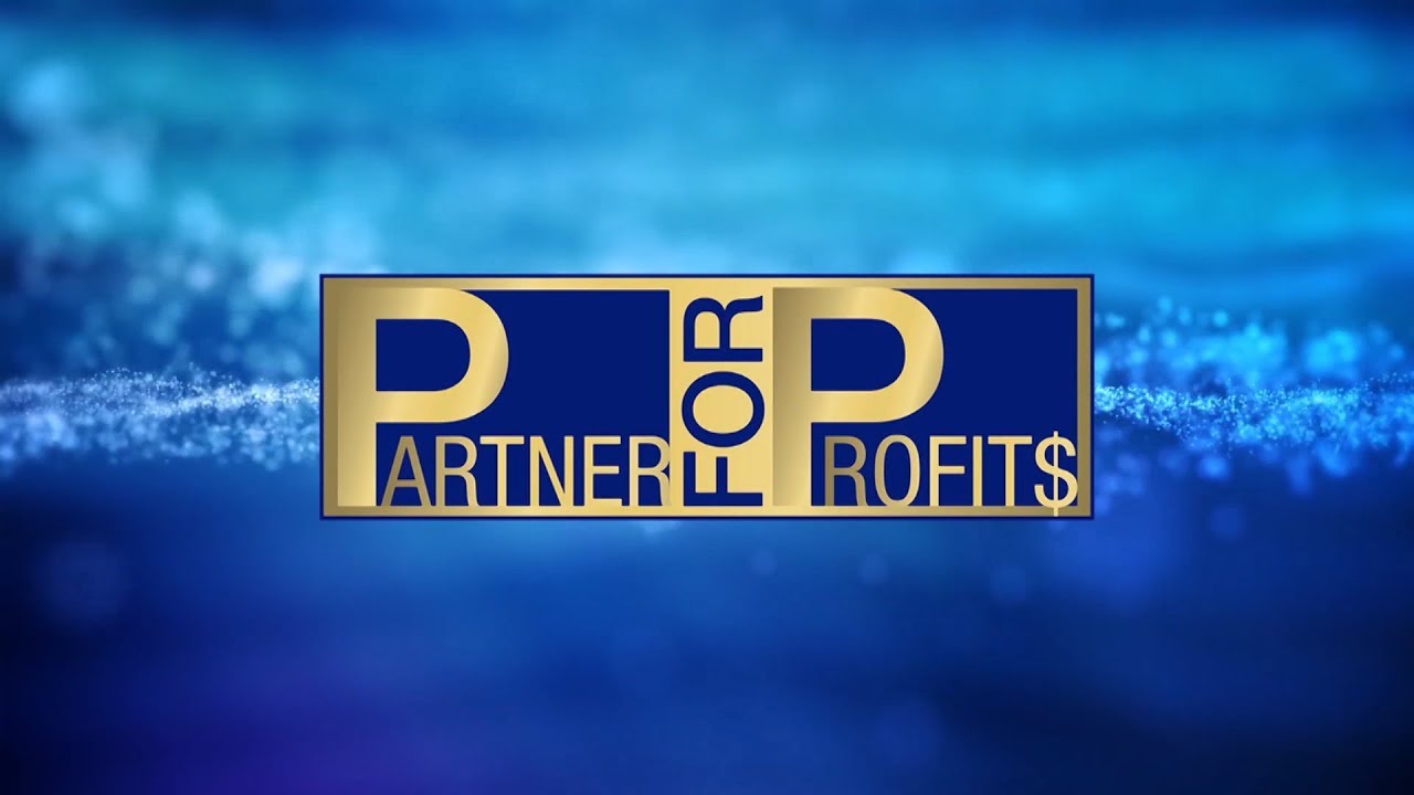 Partner for Profit Program Overview - YouTube