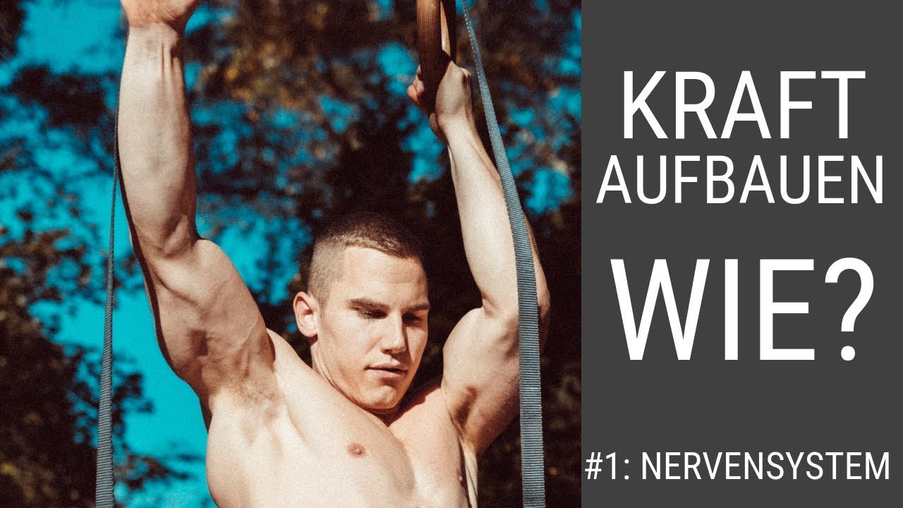 Kraft aufbauen - die 3 wichtigsten Faktoren ERKLÄRT (und eine Trainings ...
