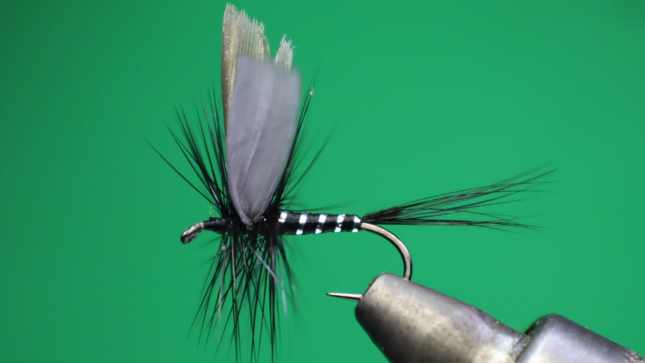 THE BLACK GNAT - FLY TYING TUTORIAL - YouTube