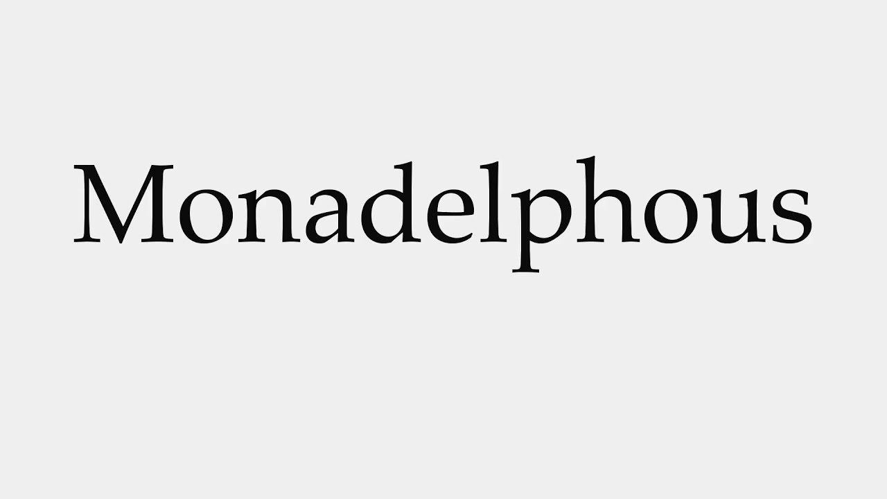 How to Pronounce Monadelphous - YouTube