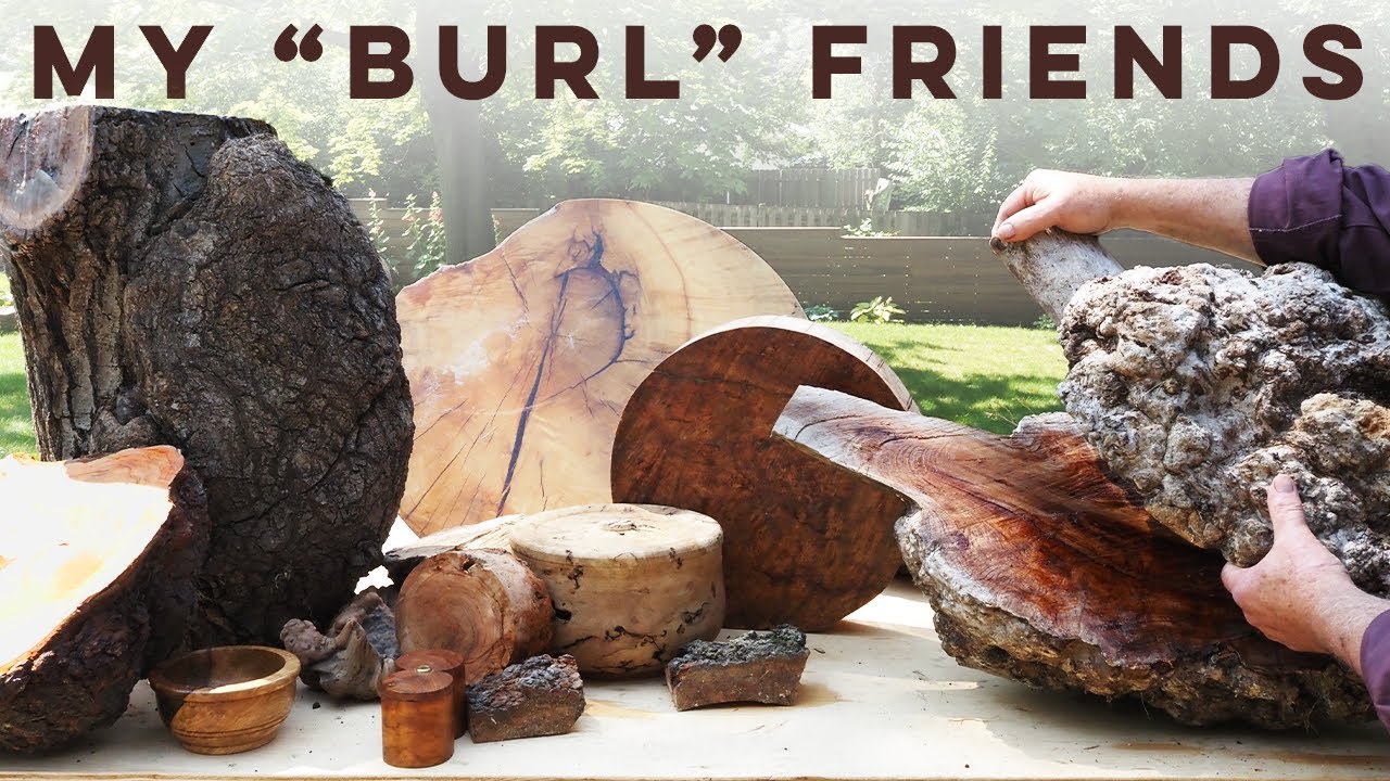 Collecting and Working with Burls - YouTube