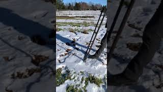 Broad fork jan2021