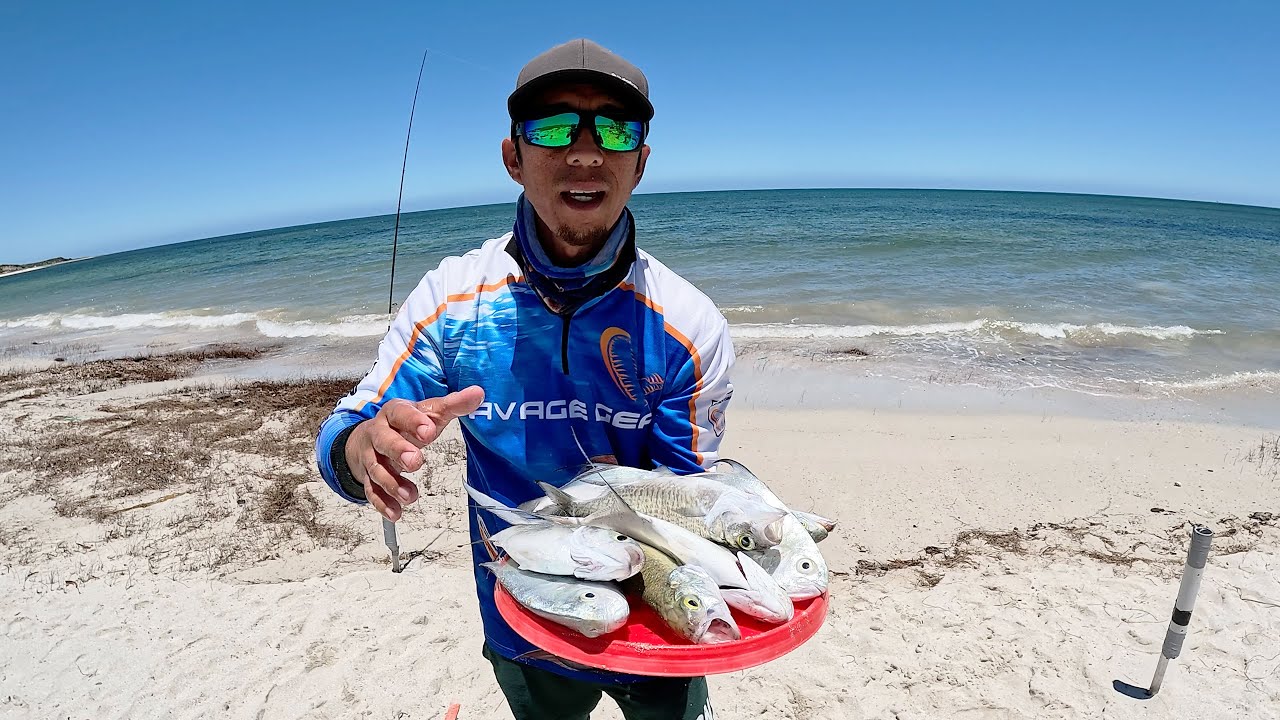 Catching more fish with the basic guides and tips - YouTube