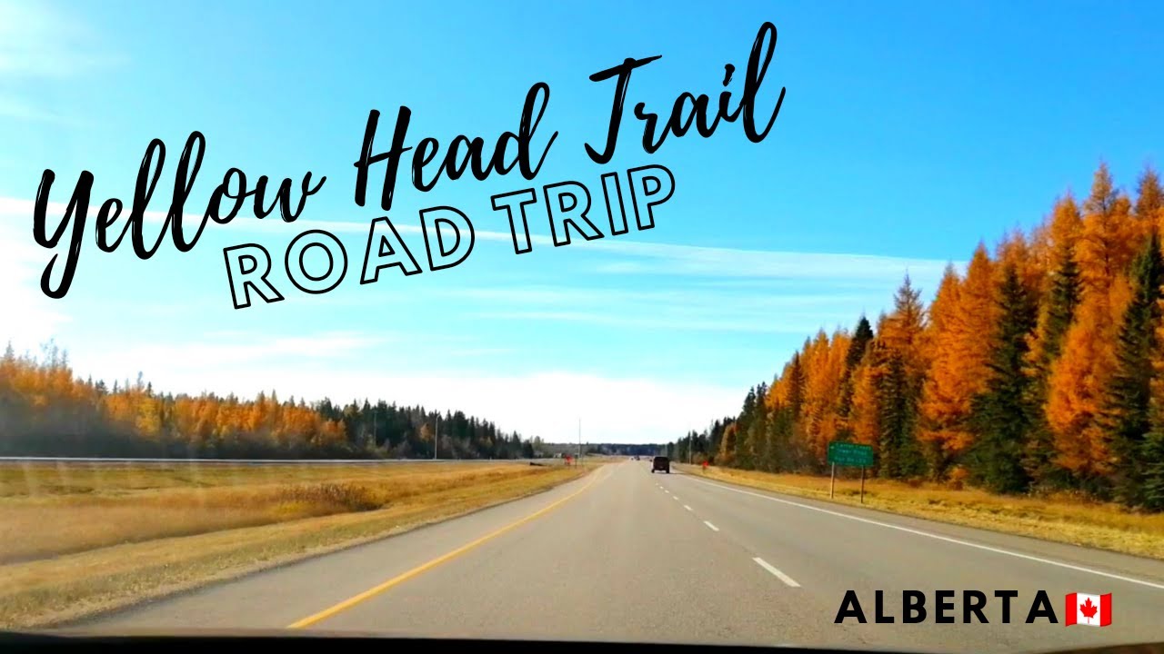YELLOW HEAD TRAIL | ROAD TRIP | AT ALBERTA, CANADA | ZENith BEE - YouTube