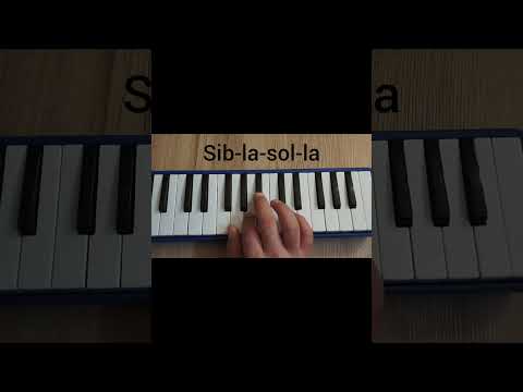 Güzel Yurdum Şarkısı Melodika @melodikacim