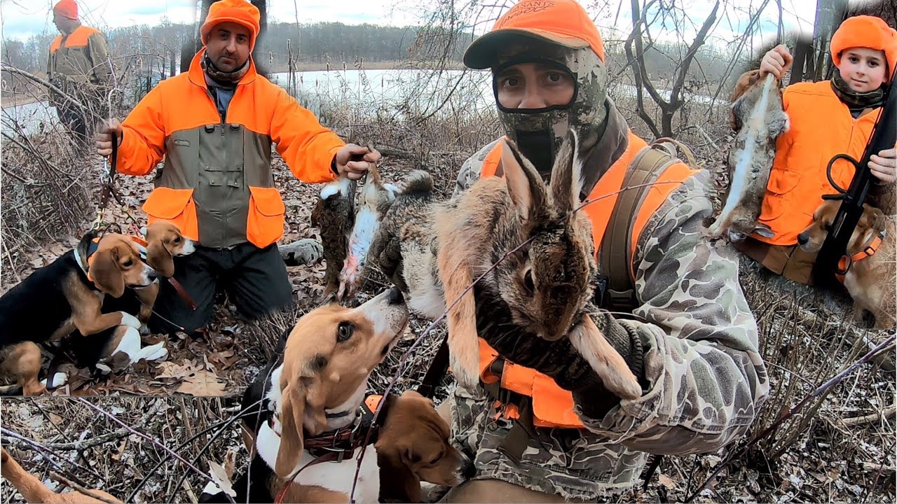 Rabbit Hunting with 410 & Beagles - YouTube