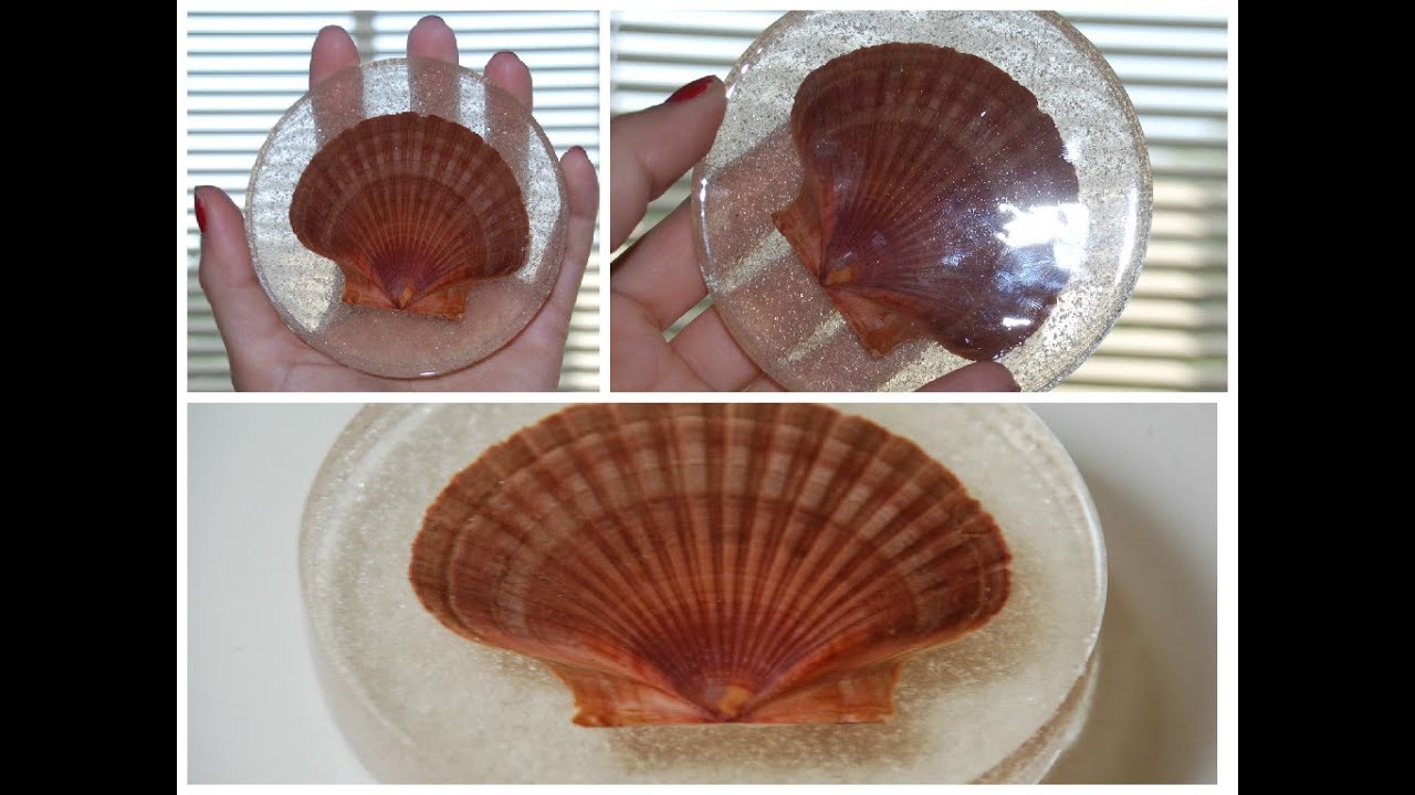 DIY SEA SHELL Inspired Coaster Beach Decoration Idea - YouTube
