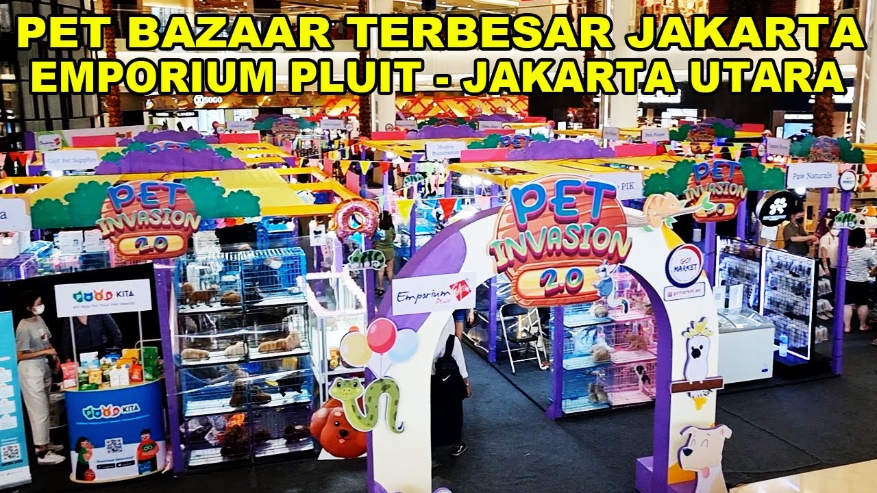 PET BAZAAR TERBESAR DI JAKARTA - PET INVASION 2.0 - YouTube