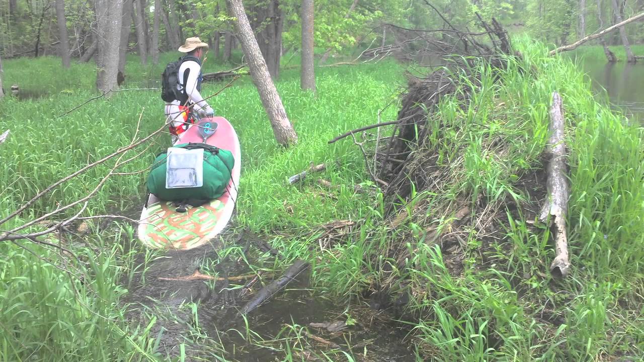 ALEX LINNELL SUP AWARDS, Paddle boarding distance record,1st to ever ...