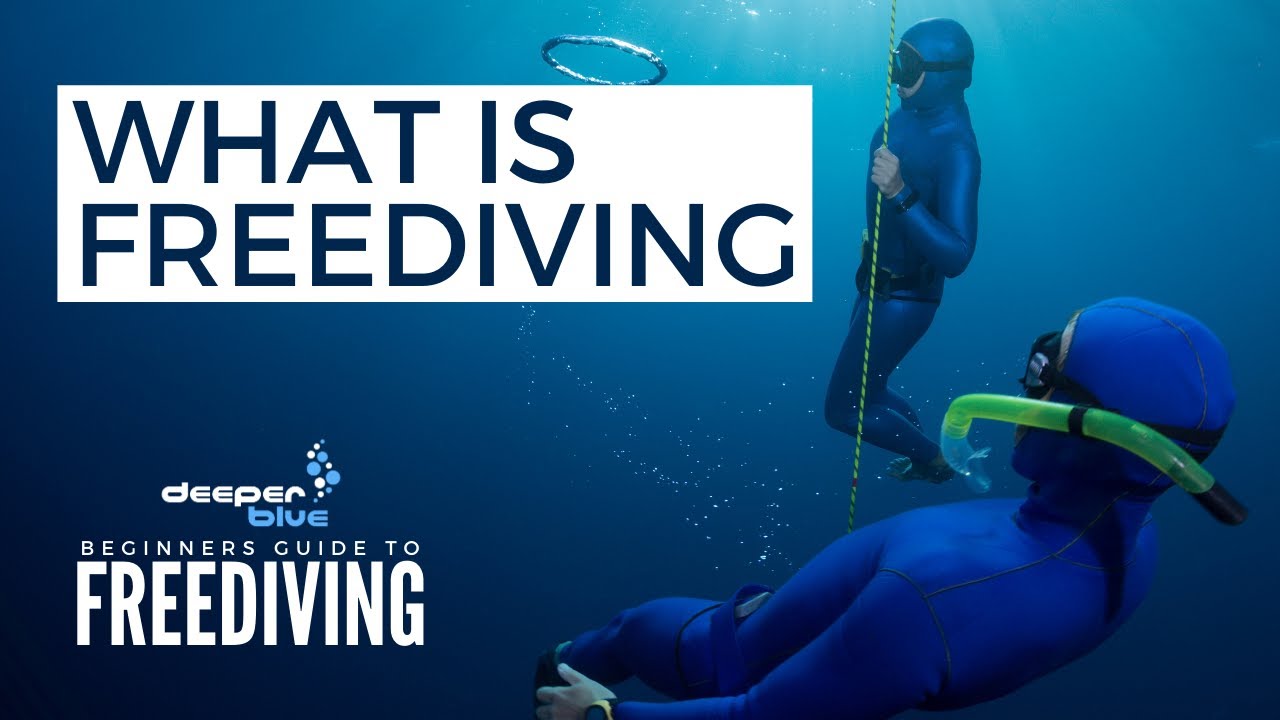 What Is Freediving - The Beginners Guide To Freediving - YouTube