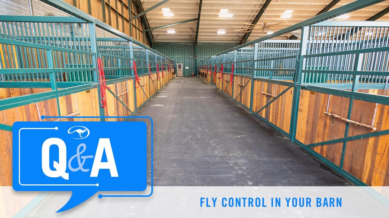 Q&A With Clinton Anderson: Fly Control in the Barn - YouTube