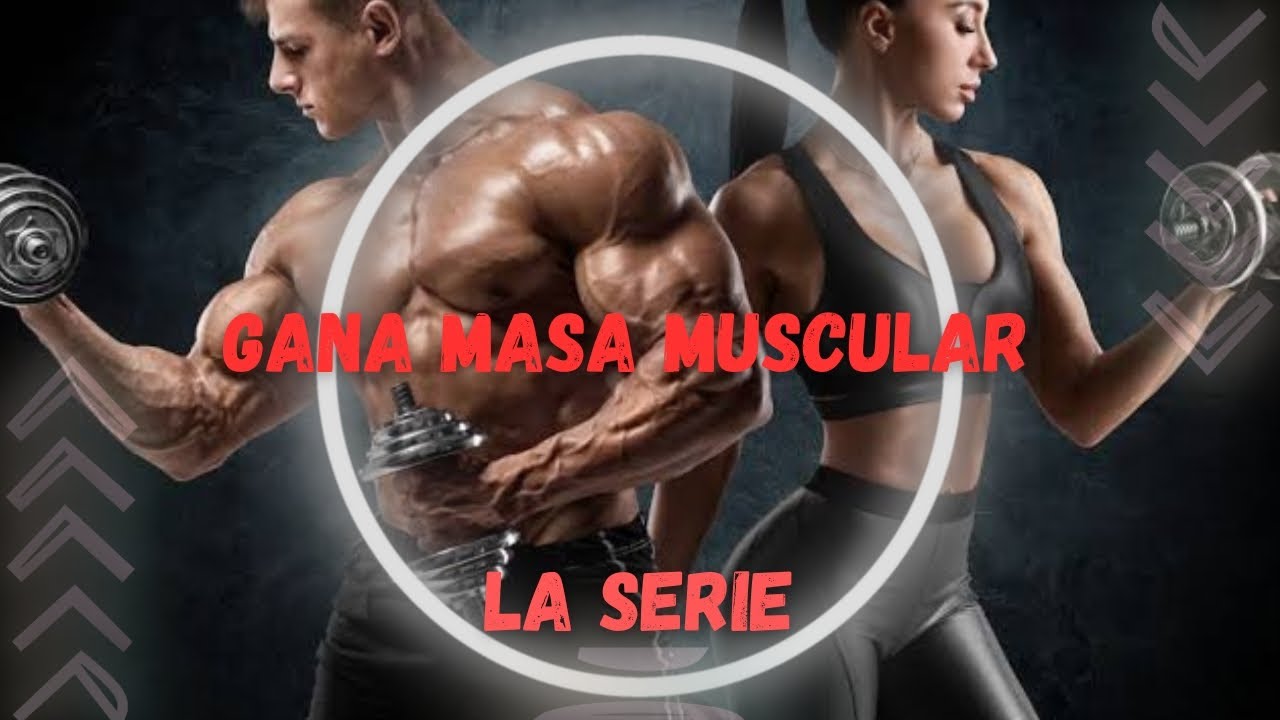 Todo lo que Tienes que Saber para Ganar Masa Muscular - La Serie - YouTube