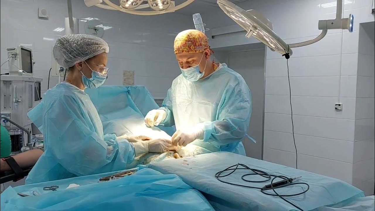 Утолщение полового члена гиалуроновой кислотой #медицина #урология ...