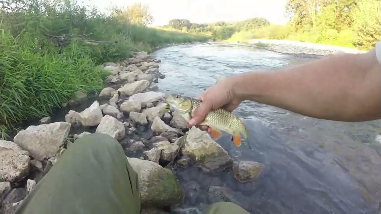 Savage Gear SG2 Micro game 0-2gr , Microlino & Red River - YouTube