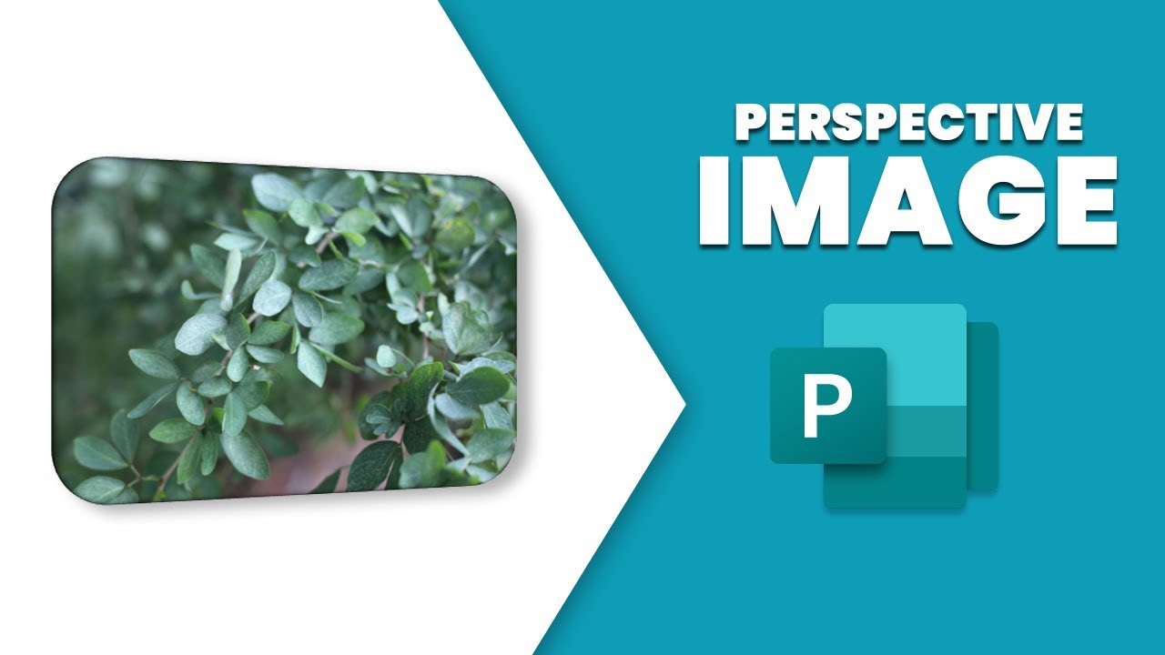 How to add perspective to image in Publisher - YouTube
