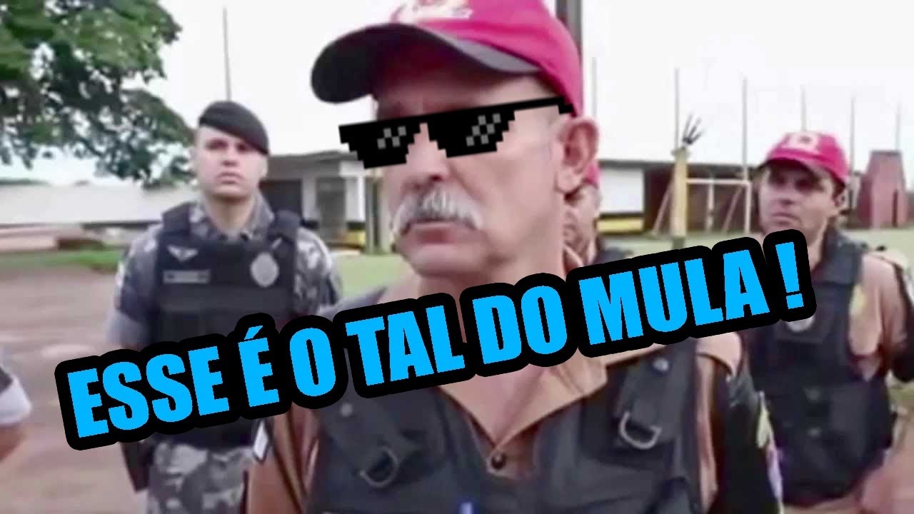 ESSE E O TAL DO MULA!! Memes Serie - YouTube