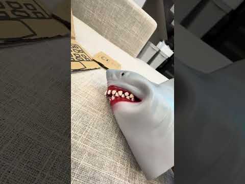 Shark puppet gets the iPhone 14 Pro