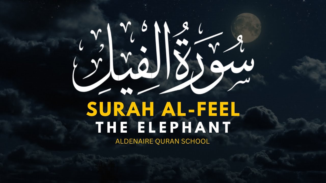 Learn Surah Al-feel word by word |Surah feel in Arabic | Quran ...