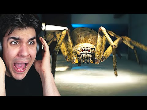 ÖRÜMCEKLERDEN KORKMUYOR(DUM)