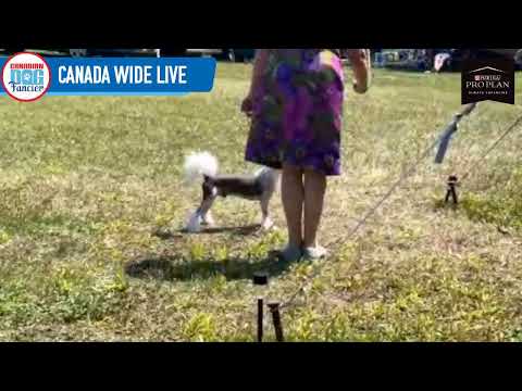 Sarnia - Sharon Derrick - YouTube