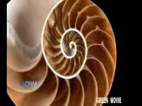 The Great Math Mystery - YouTube