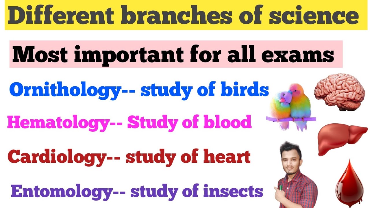 Different branches of science | important scientific studies for ...