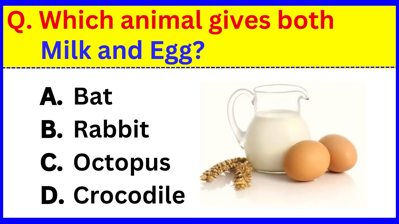 Top 30 GK Question and Answer | Gk Questions and Answers | GK Quiz | GK ...
