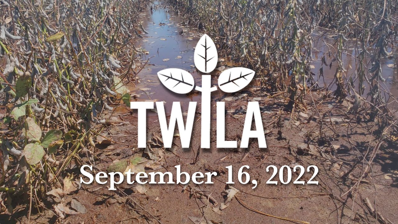 TWILA -- September 16, 2022 - YouTube