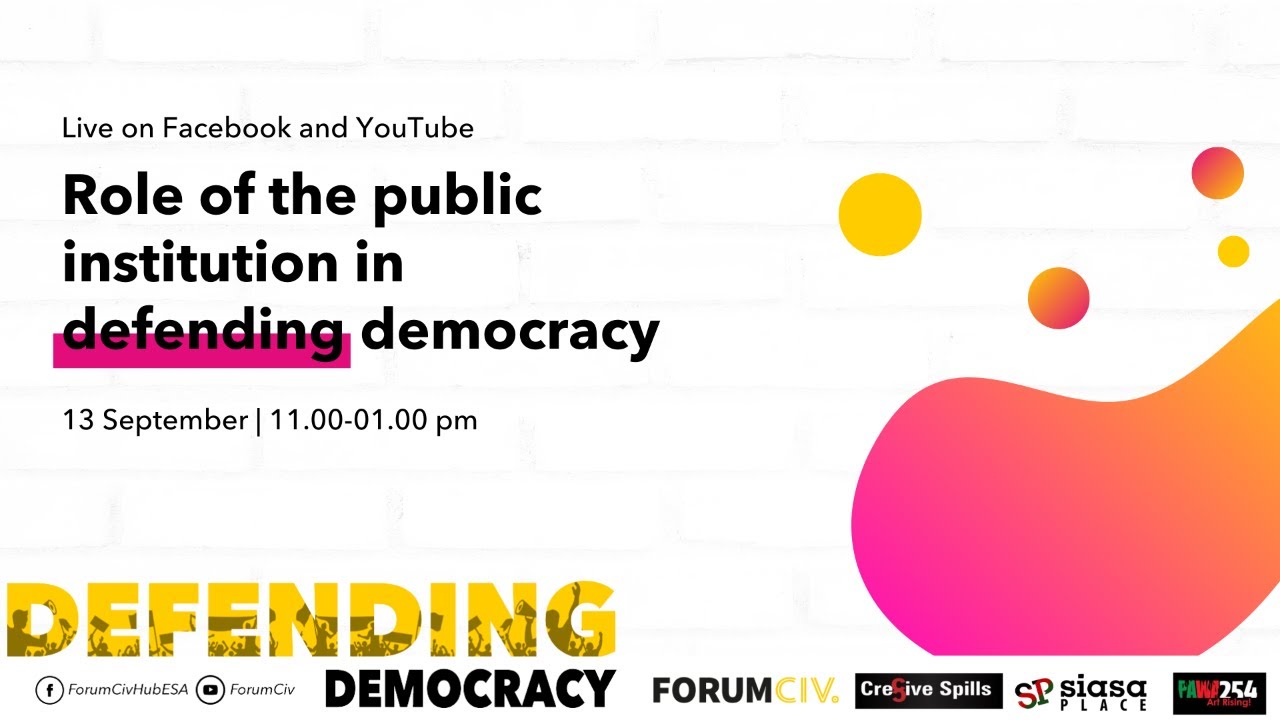 Defending democracy | Role of the Public Institution in defending ...