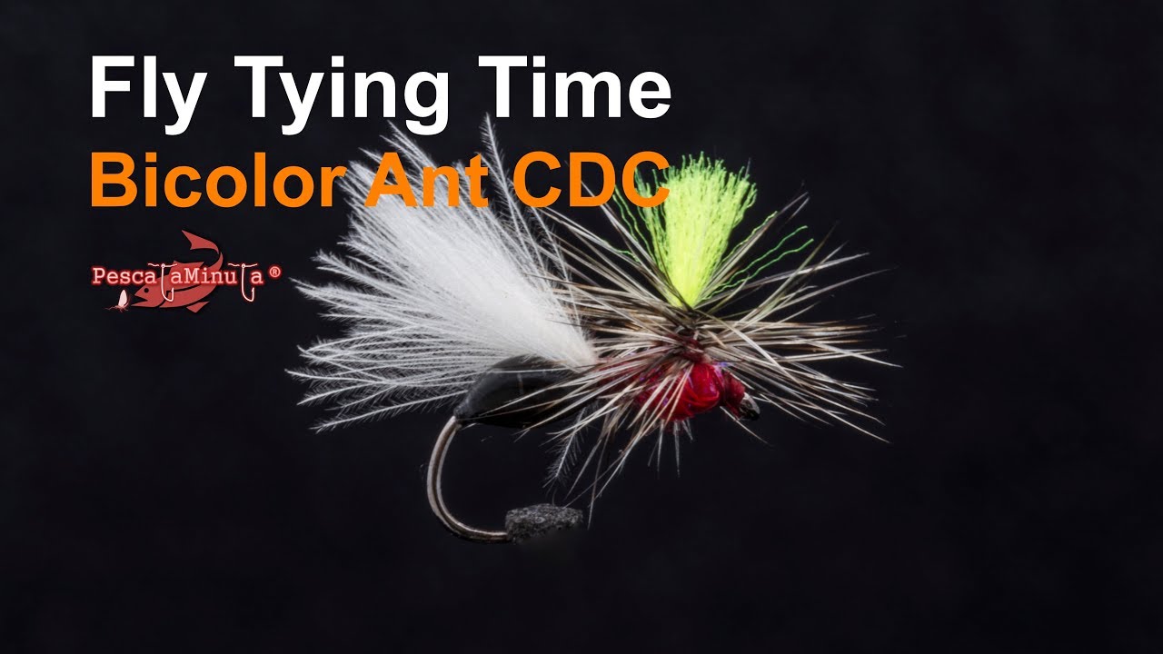 Fly Tying Time - Bicolor Ant CDC - YouTube