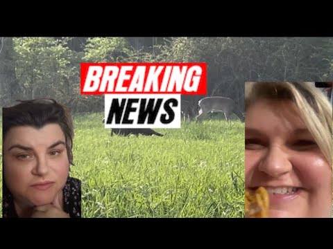 Late night chit chat 💥Breaking News 💥 - YouTube