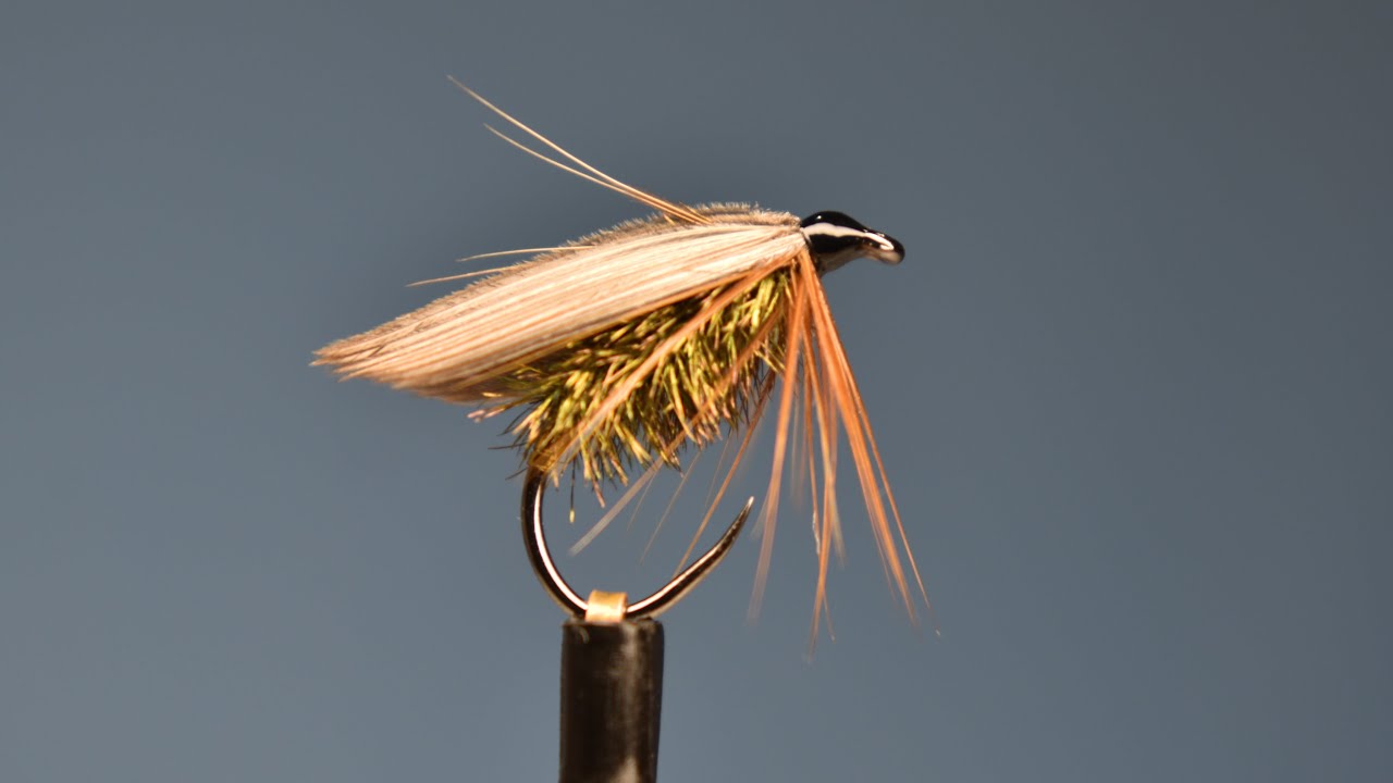 Viazanie Leadwing Coachman - mokrej musky (tying Leadwing Coachman ...