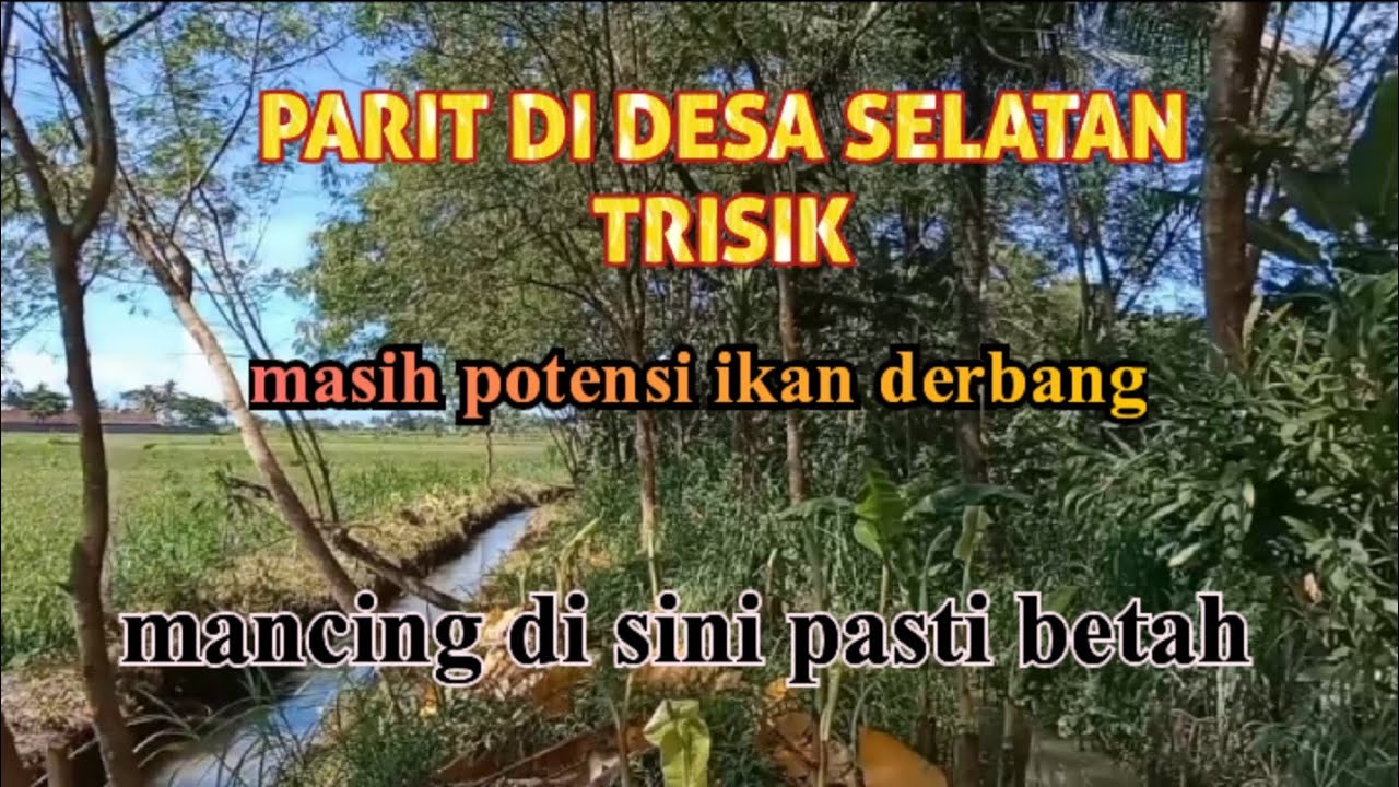 dua parit kecil di trisik masik potensial untuk tehnik pecut - YouTube