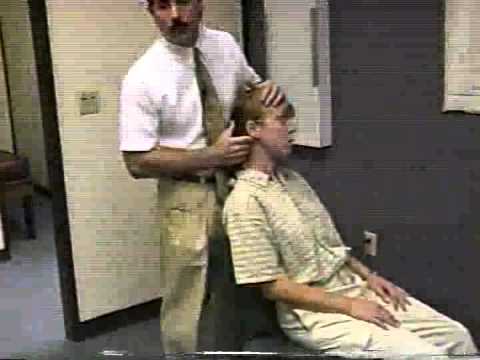 Dr. Fehl Full Spine III - YouTube