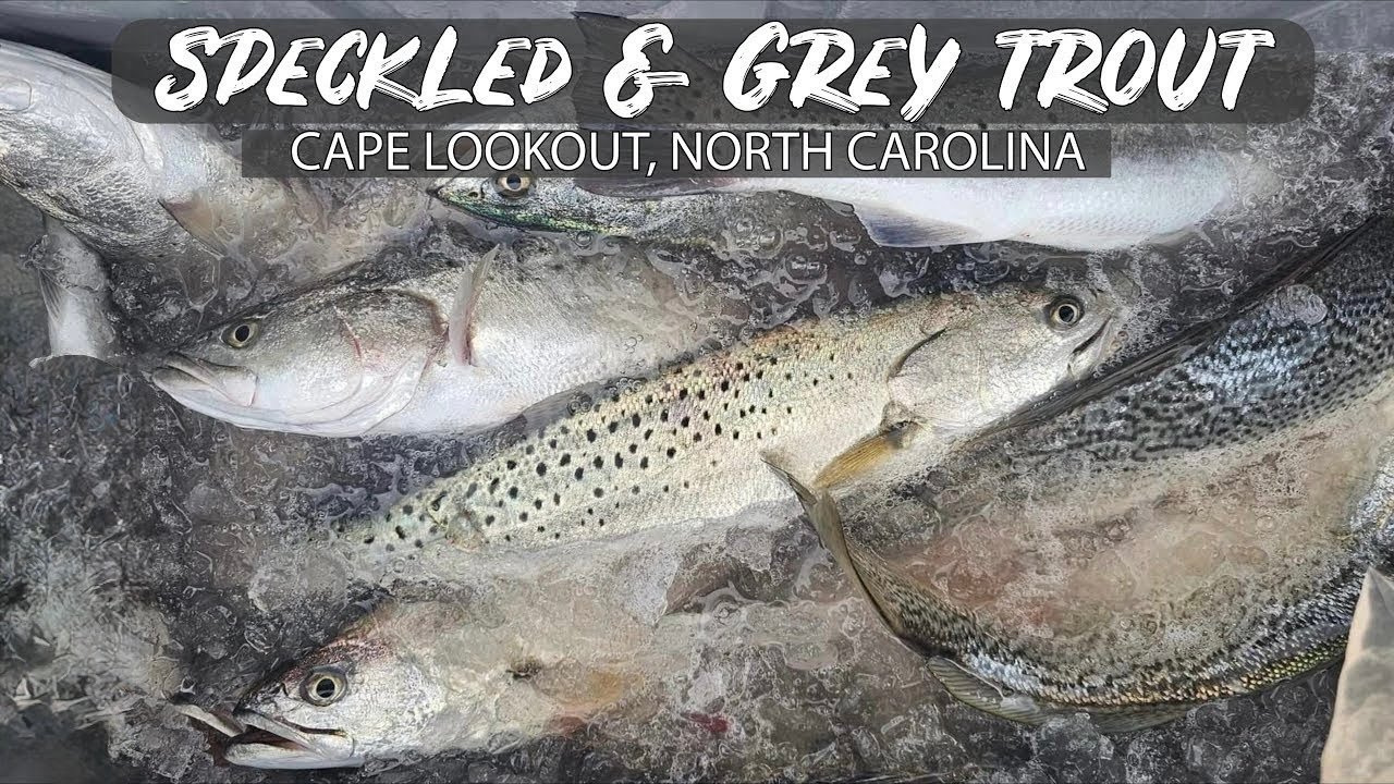 Speckled & Grey Trout | Cape Lookout NC | Salty Affairs Sport-Fishing ...