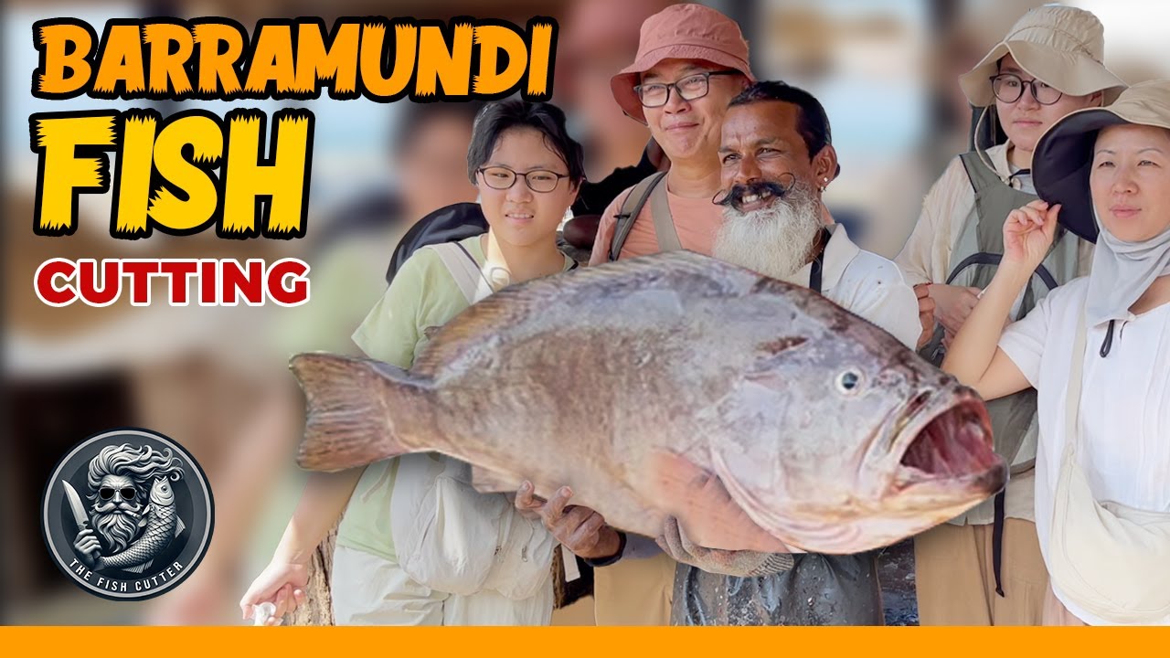 Fastest Huge Barramundi Fish Cutting Skills | Amazing Cutting Skills ...